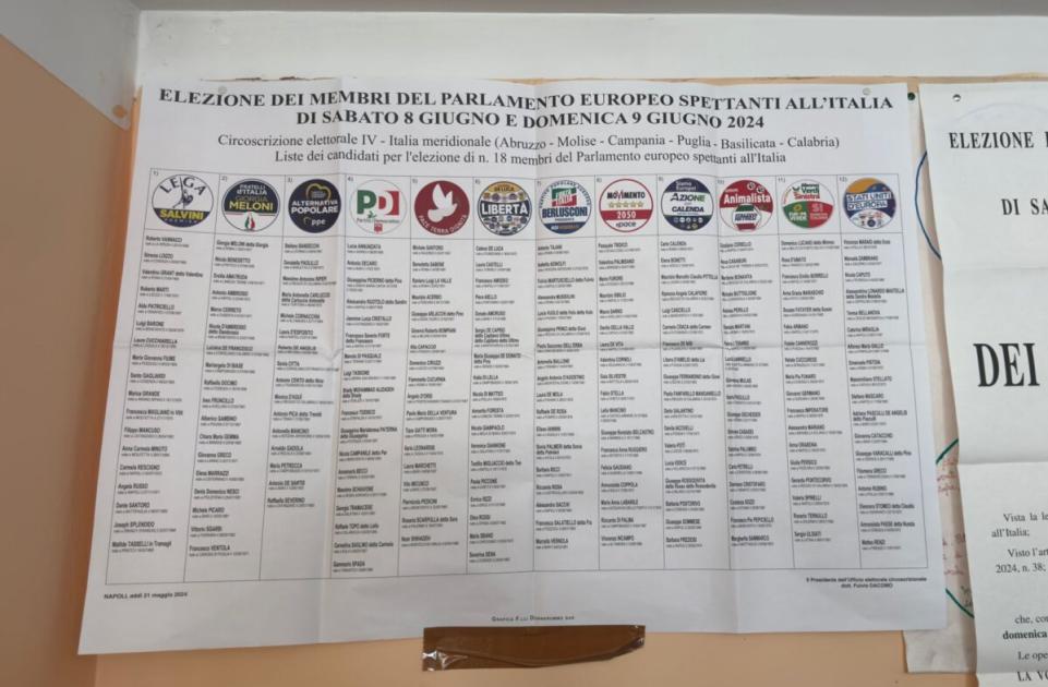 Risultati Elezioni Europee: Focus sui Candidati Calabresi