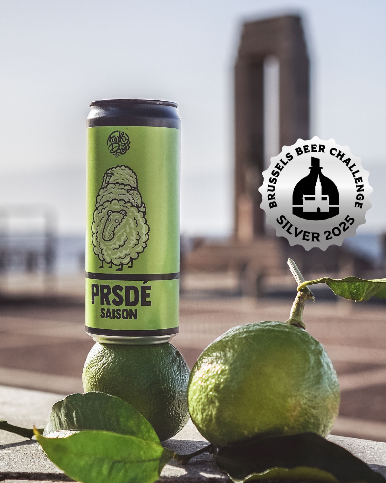 Funky Drop, la birra di Reggio Calabria argento al Brussels Beer ...